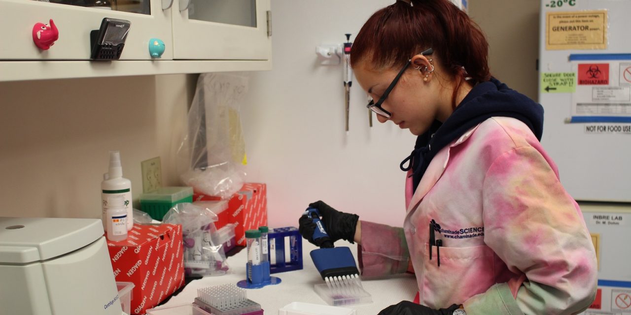 $1 Million Awarded to Chaminade in Recognition of National Excellence ...