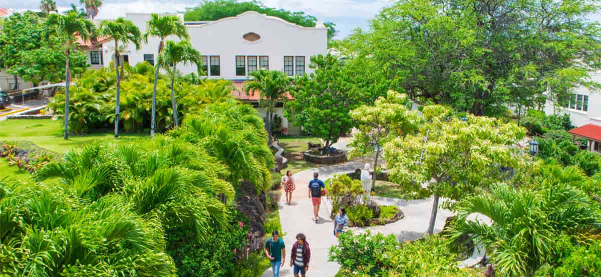 Co-Curricular Awards 2020 – Chaminade University of Honolulu