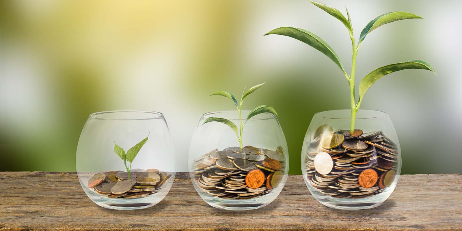 Meet Our Team – Chaminade University of Honolulu